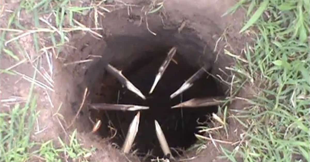 5 Survival Traps That Will Keep You Alive Outdoors | Elite Readers