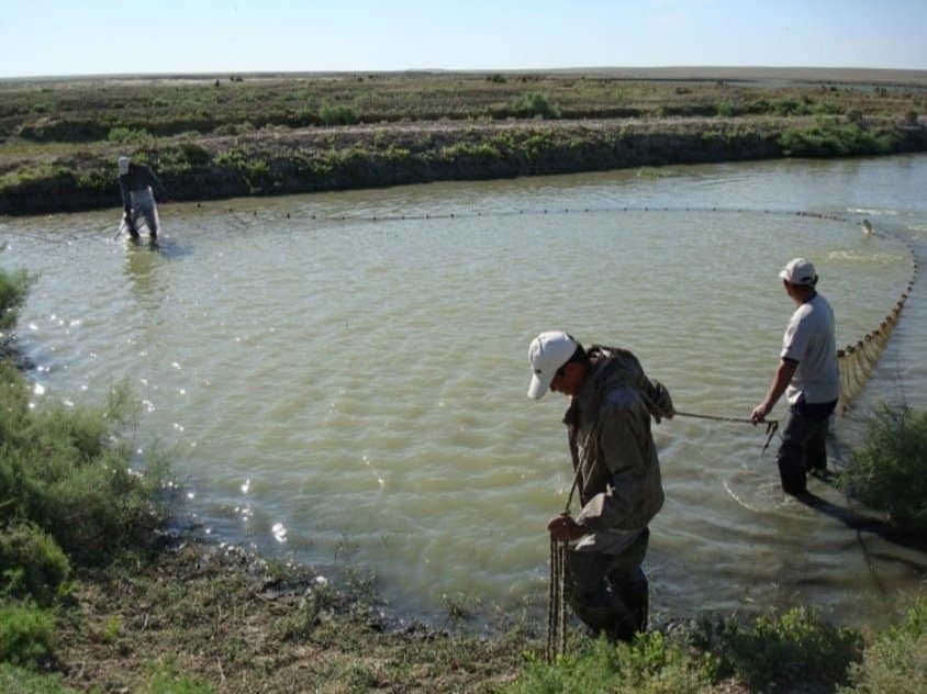 How One of World’s Largest Lakes Turned Into A Vast Man-Made Desert ...