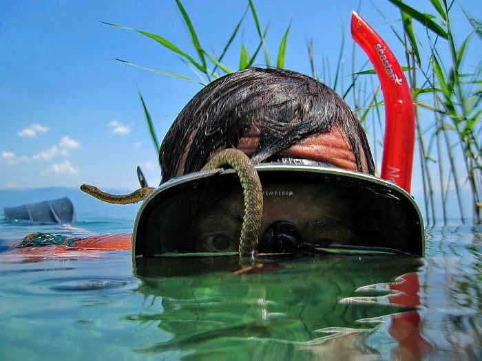 28 Crazy Photographers Who Would Do Anything Just To Get The Perfect ...