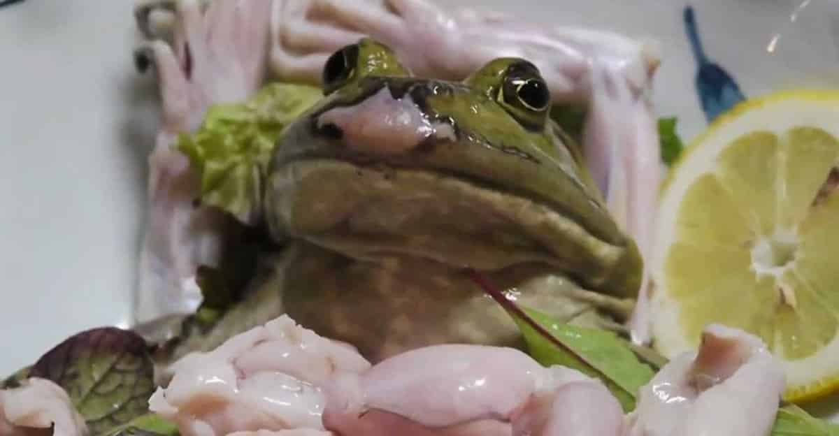 Japanese Restaurant Serves Disturbing Meal of Live Frog Sashimi - Elite ...