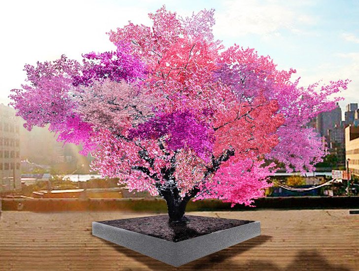 One tree, multiple fruits. Sam Van Aken has created a natural work of ...