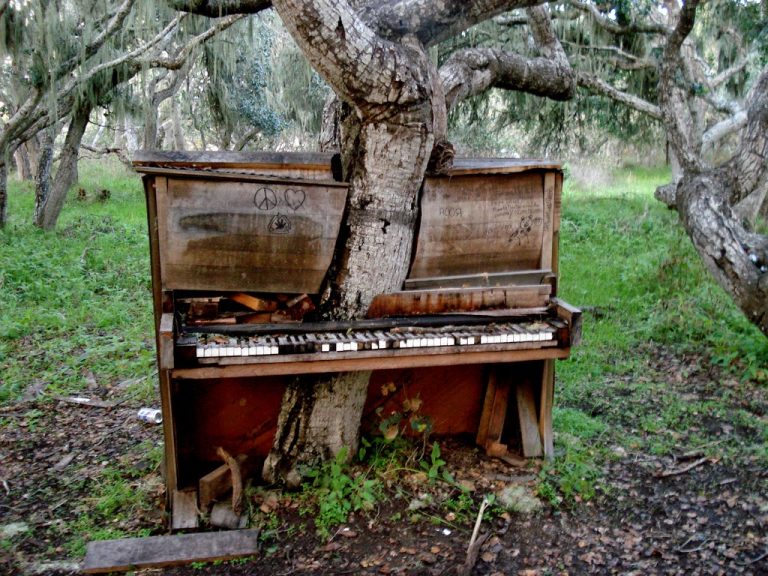 20 Remarkable Photos Showing Nature Taking Over Civilization – Elite ...
