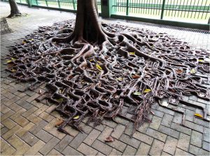 20 Remarkable Photos Showing Nature Taking Over Civilization – Elite ...