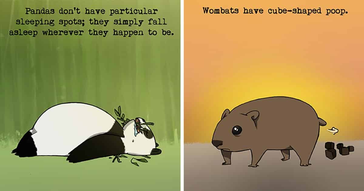 Surprisingly weird facts about animals featured Elite Readers Surprisingly weird facts about animals featured Elite Readers