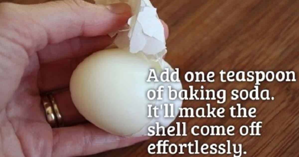 80 Best Life Hacks to Make Your Life Easier | Elite Readers