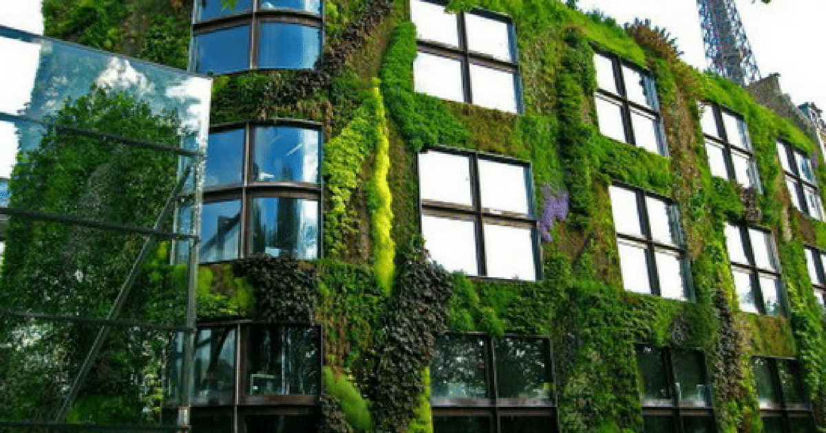 6 Buildings With Eco-Friendly Living Walls | Elite Readers