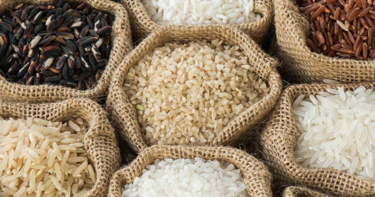 Different Types Of Rice and Their Health Benefits - Which One Is the ...