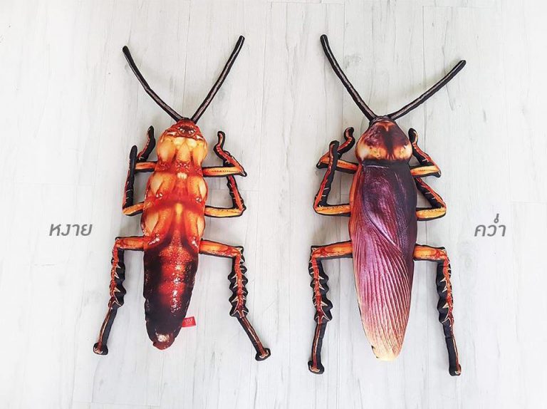 How Would You Like To Sleep While Hugging This Giant Cockroach Pillow ...