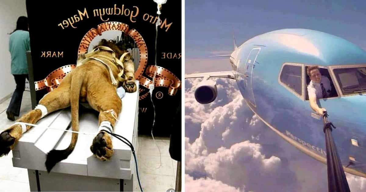 30 Fake Viral Photos That We Believed Were Real | Elite Readers