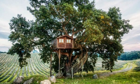 Man Builds Monumental 3-Storey Treehouse for Grandkids – Elite Readers