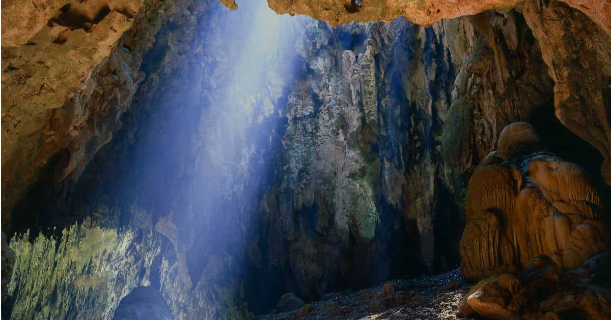 New Species Of Ancient Human Discovered In A Cave In The Philippines ...