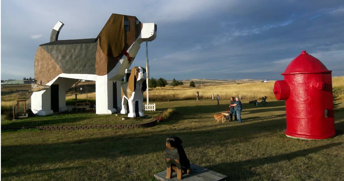 Dog Bark Park Inn | Elite Readers