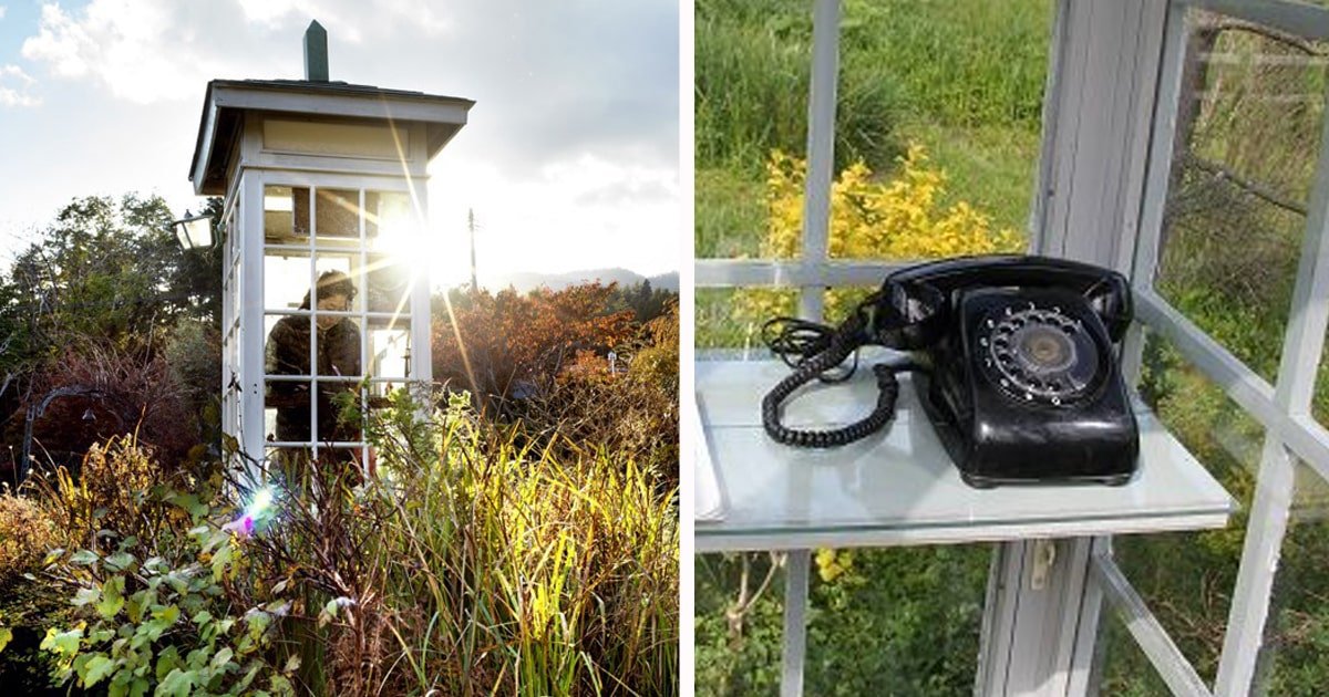 Japan’s Wind Phone Allows People To ‘Call’ Departed Loved Ones | Elite ...